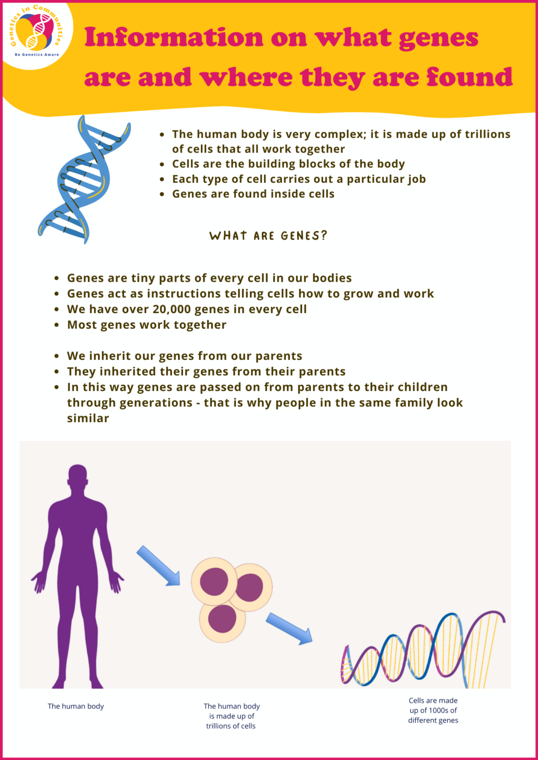 Information for everyone - WomenZone